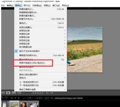 Adobe Photoshop Lightroom如何将图片格式保存为dng-保存为dng的方法_华军软件园